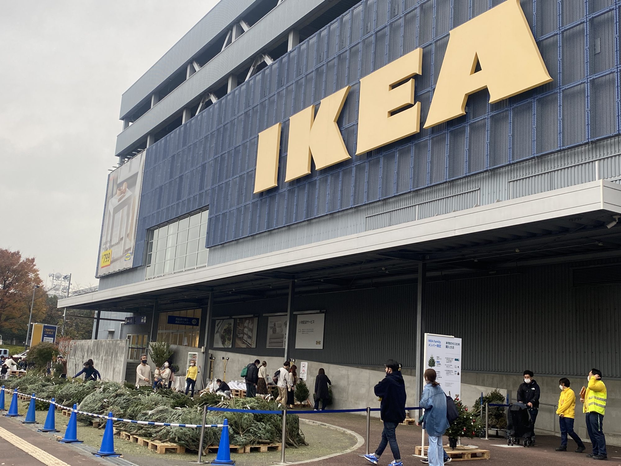 IKEAのモミの木で本格派クリスマス！IKEA familyだと¥2999で手にはいる♪ | HugMug