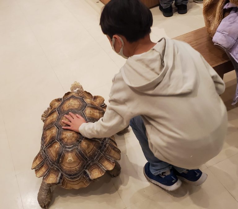 【子どもOK】約40種類の動物がお出迎え！アニマルカフェ『Moff』体験レポート | HugMug