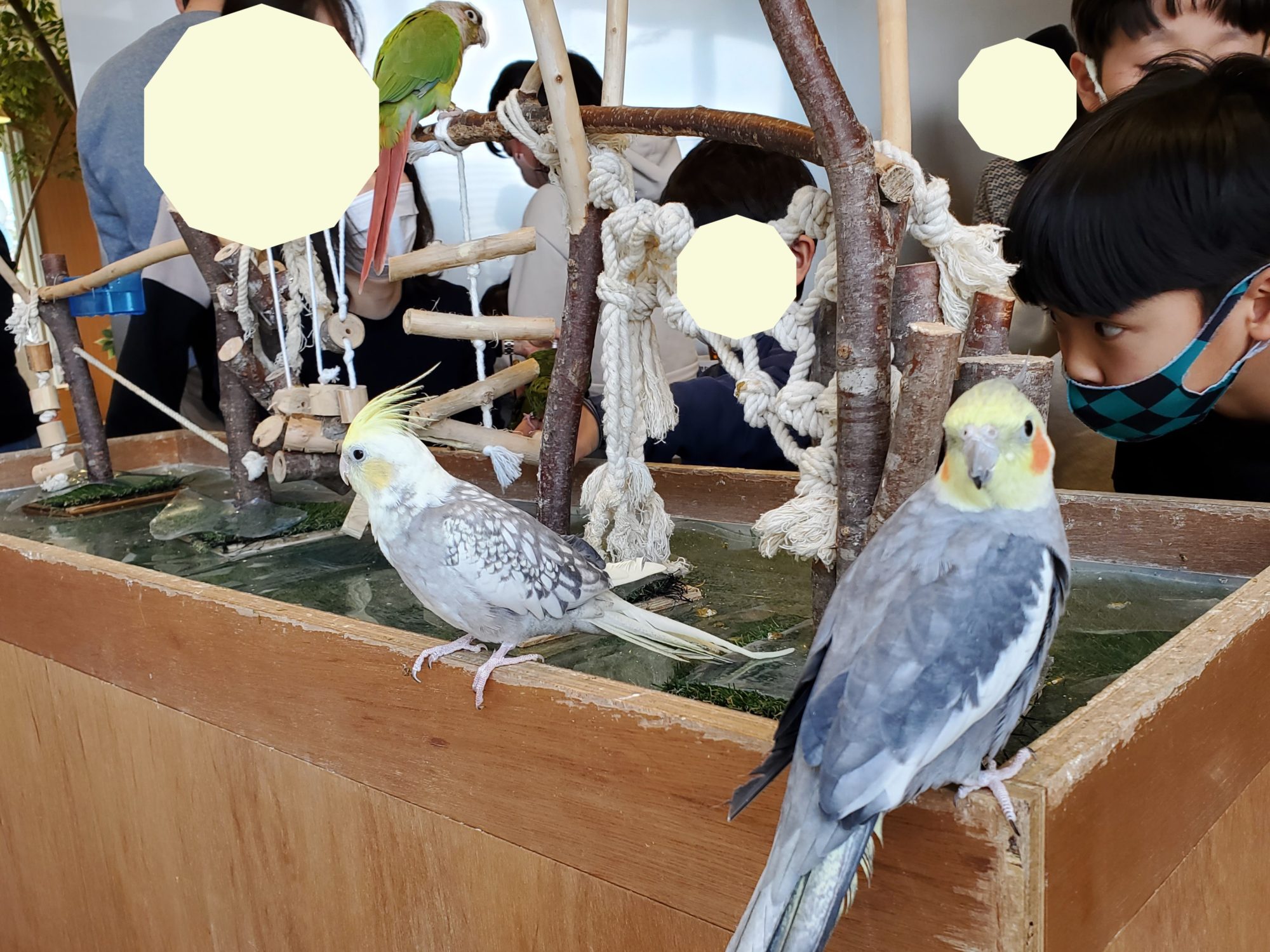 【子どもOK】約40種類の動物がお出迎え！アニマルカフェ『Moff』体験レポート | HugMug