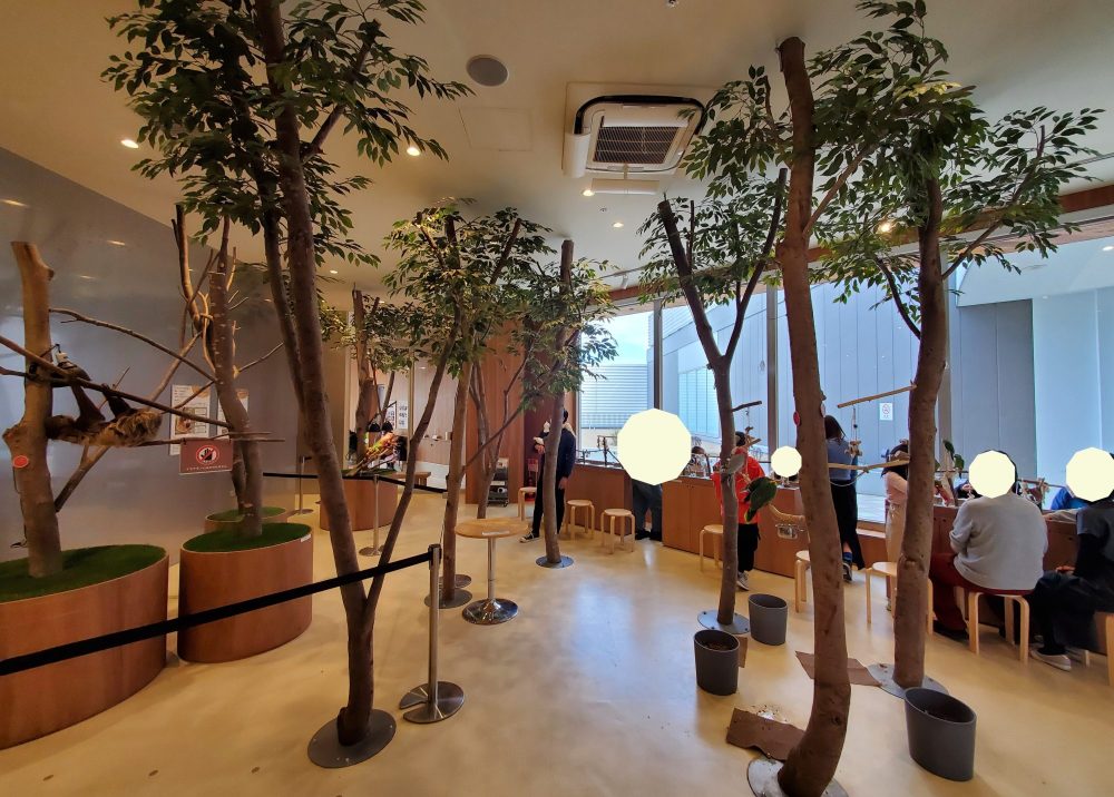 【子どもOK】約40種類の動物がお出迎え！アニマルカフェ『Moff』体験レポート | HugMug