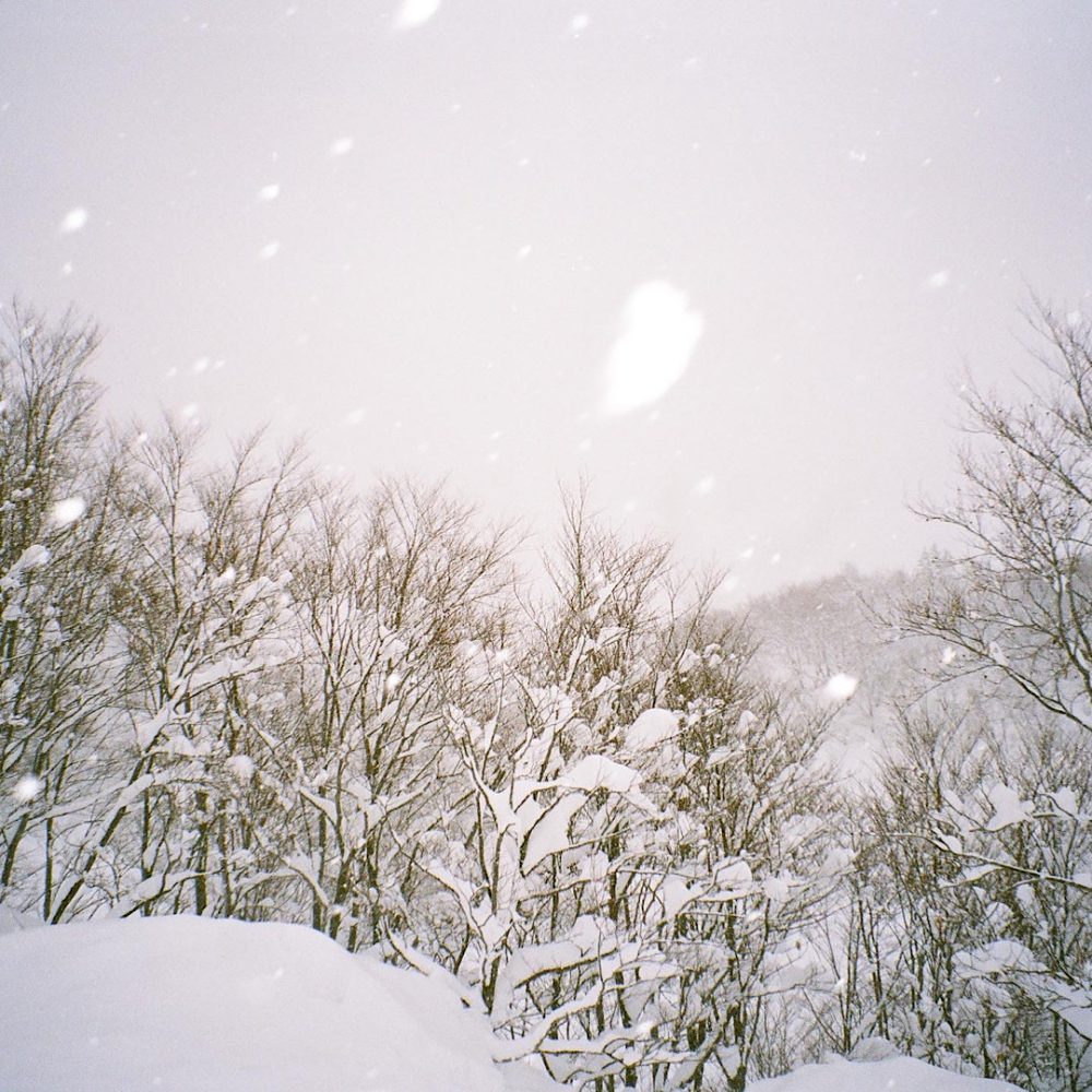 新幹線の駅直結！子連れ雪遊びはGALA湯沢♪充実の子供向けアクティビティと温泉 | HugMug