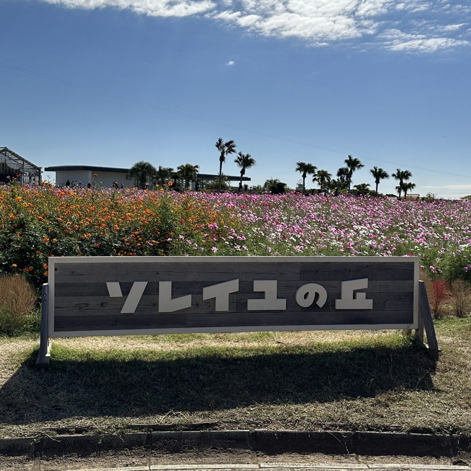 1日楽しめる♡リニューアルした【ソレイユの丘】が子連れにおすすめ！ | HugMug