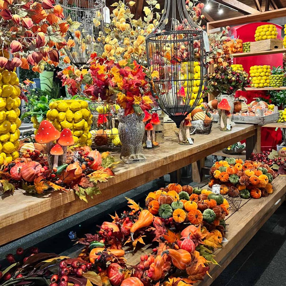 「親子で刺激を受けた、金沢旅行」MEGの英国式・子育てレポート vol.71 | HugMug