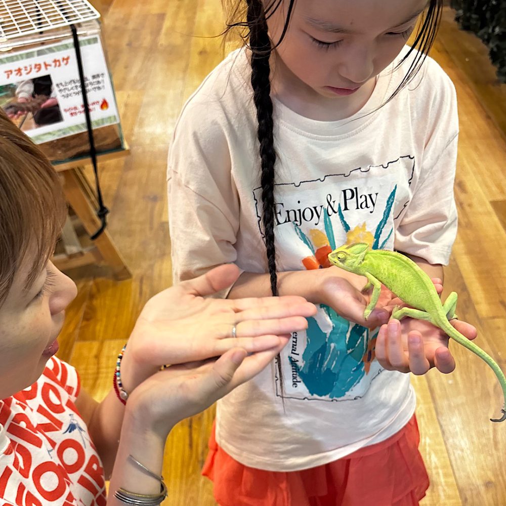 【入場料800円】再入場OKの「いきもの探検隊」で動物ふれあい体験レポ | HugMug