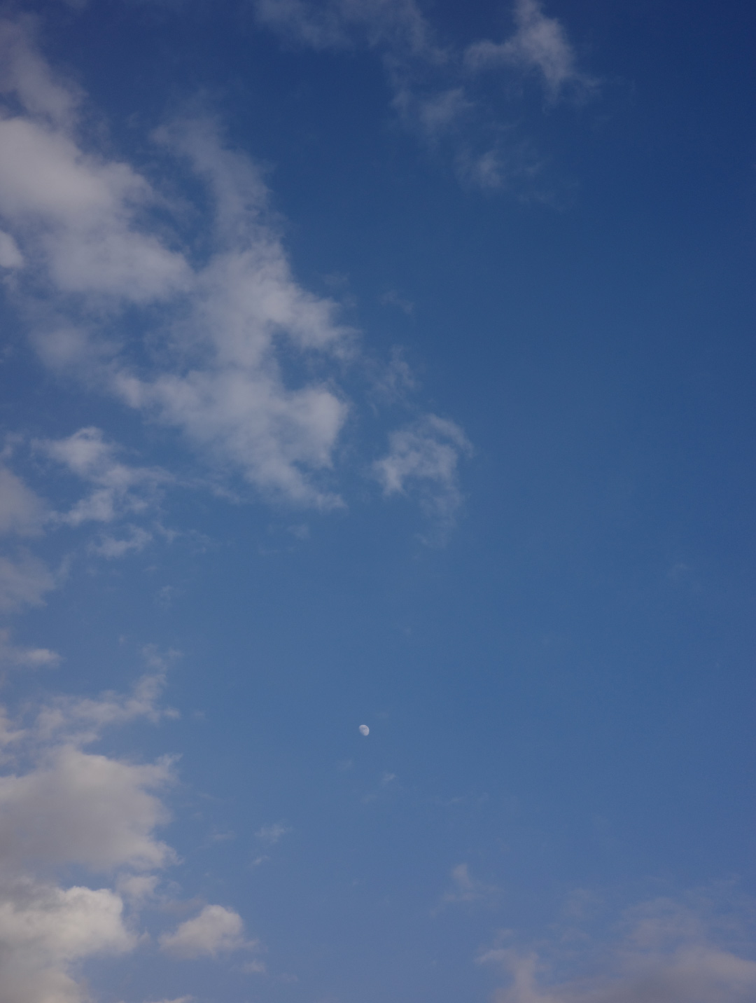 「新たな挑戦で子どもが得たこと」平野みかほの『子どもと、私と、らしさと』Vol.8 | HugMug